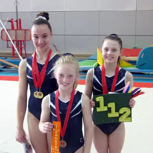 Gymnastics Competition Results