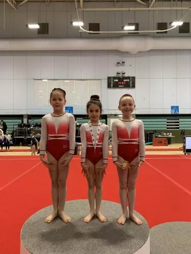 Gymnastics Competition Results